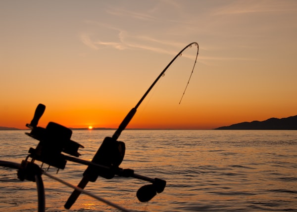 What to Expect on a Guided Fishing Tour - News Blogged